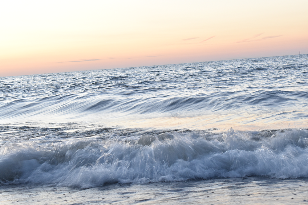 in the middle of the sea – seema casey