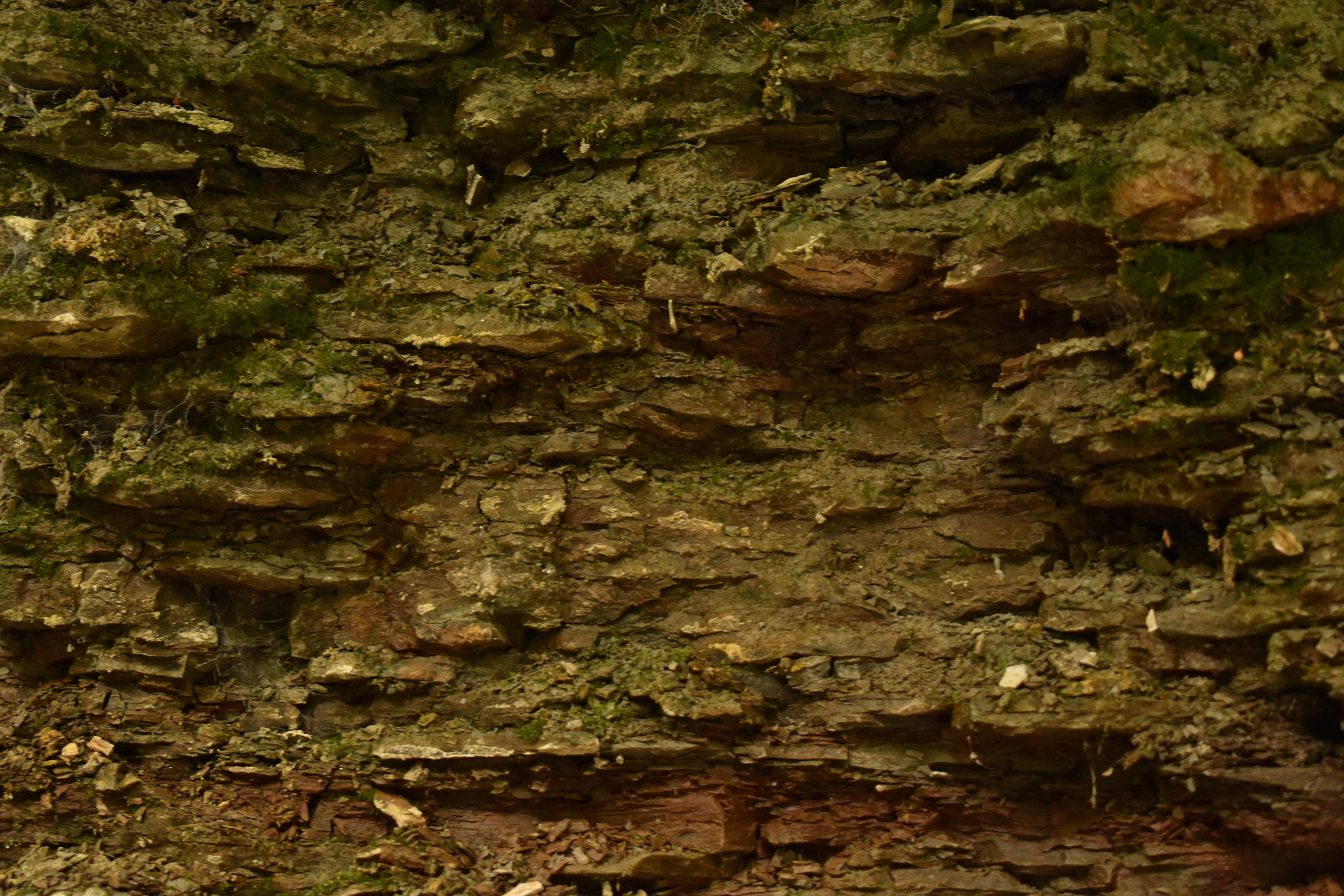 Rocks – seema casey