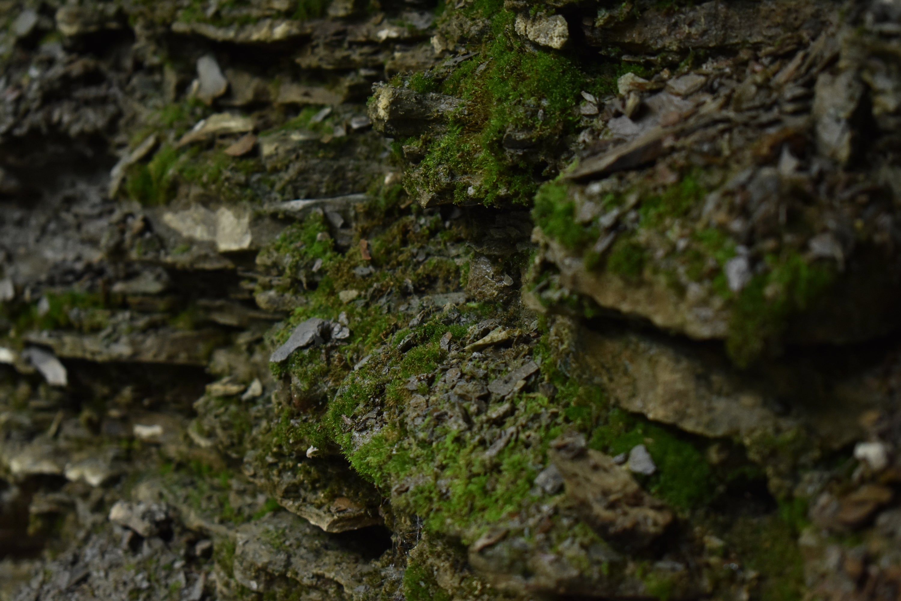 Green Rocks – seema casey