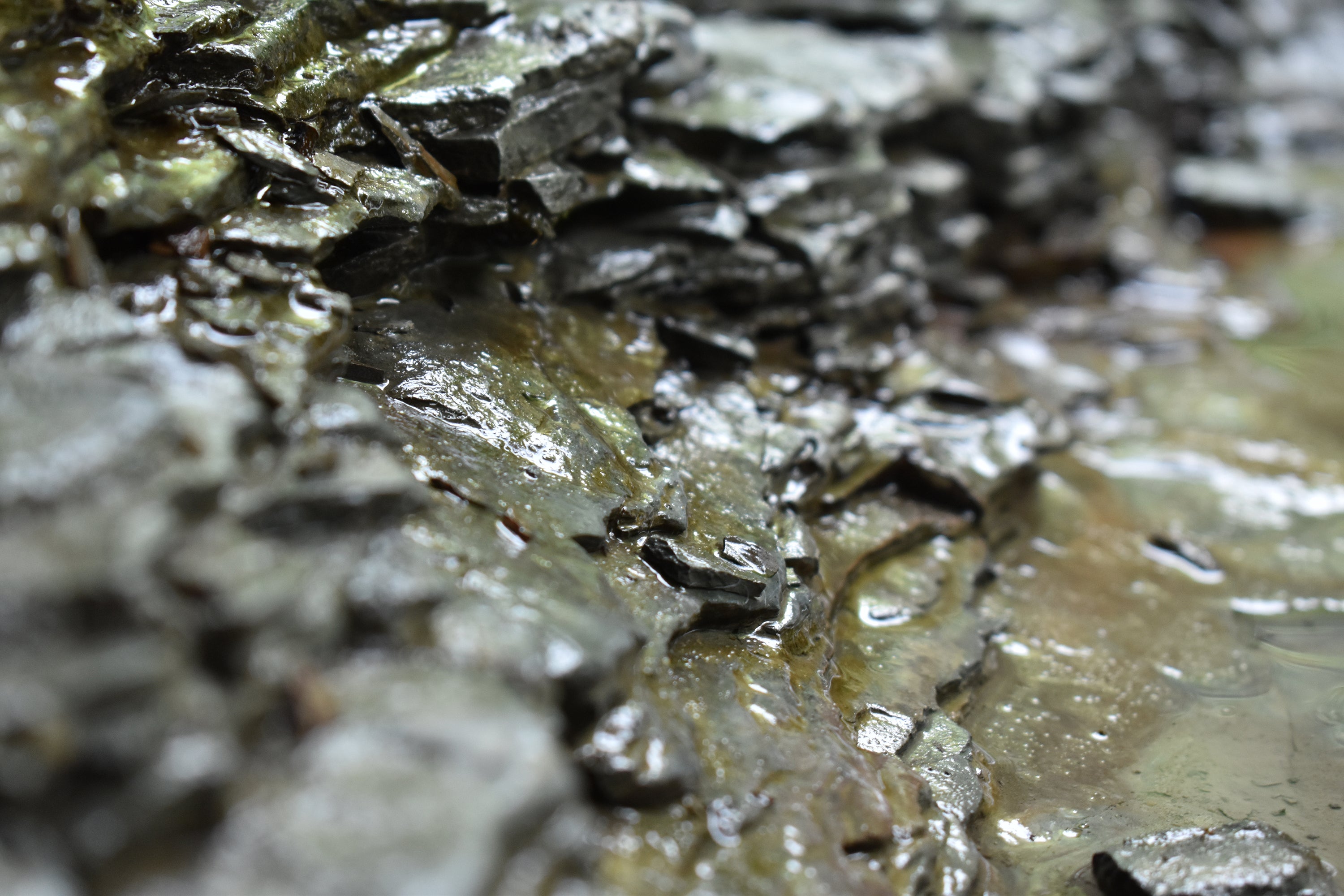 Unique Rocks – seema casey